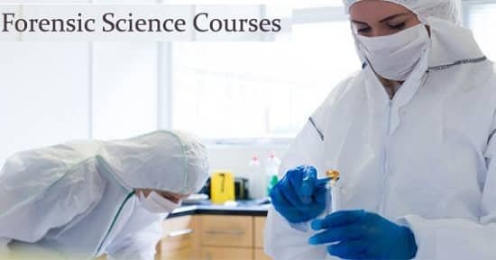 List of Forensic Science Courses: Eligibility, Career Scope - CoursesXpert List of Forensic Science Courses: Eligibility, Career Scope - CoursesXpert